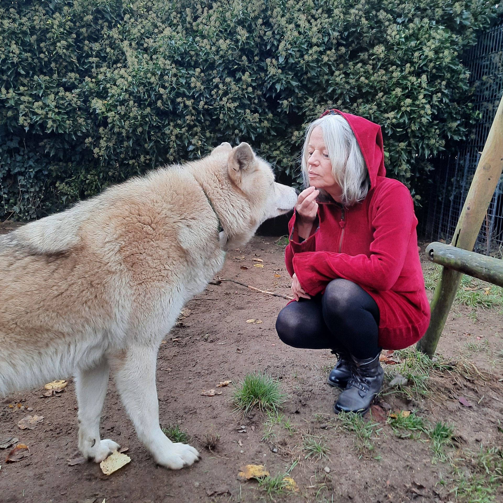 Tierkommunikation Basic Seminar